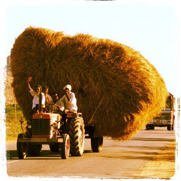 12 cosas impactantes de la India - Soy Viajera